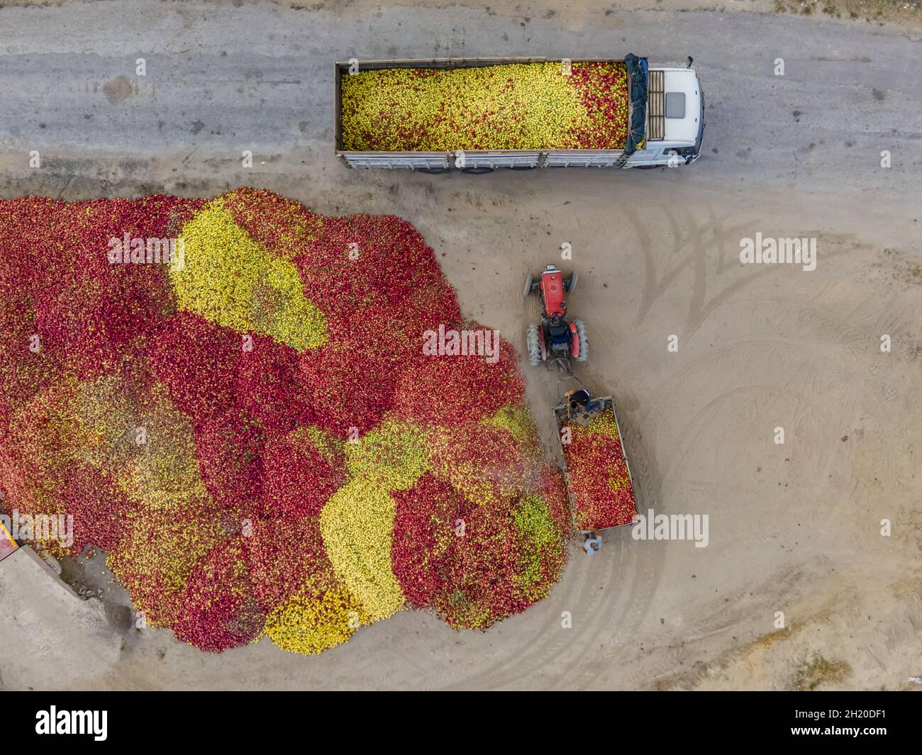 Truck unloading fruits hi-res stock photography and images - Alamy