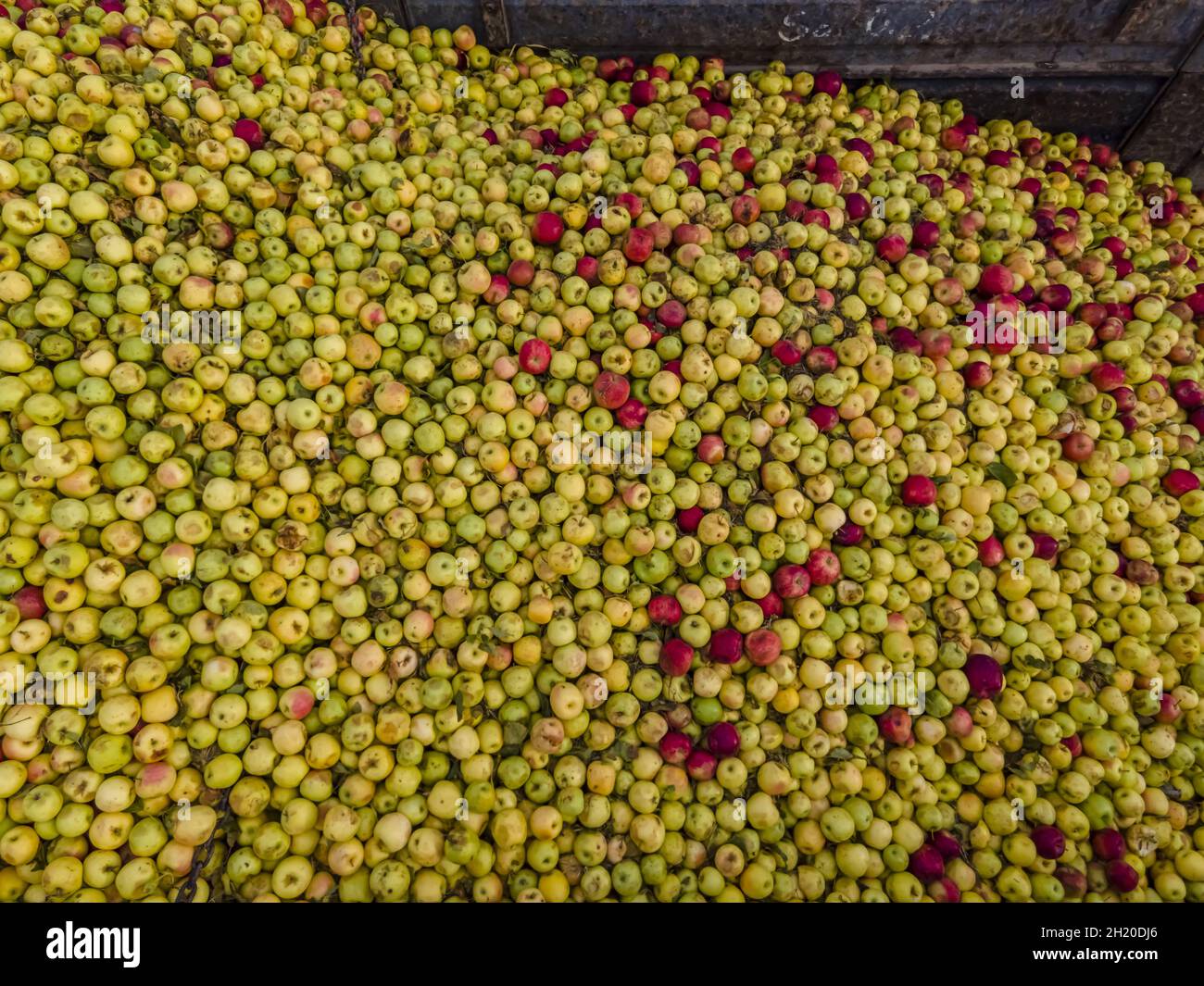 Truck unloading fruits hi-res stock photography and images - Alamy