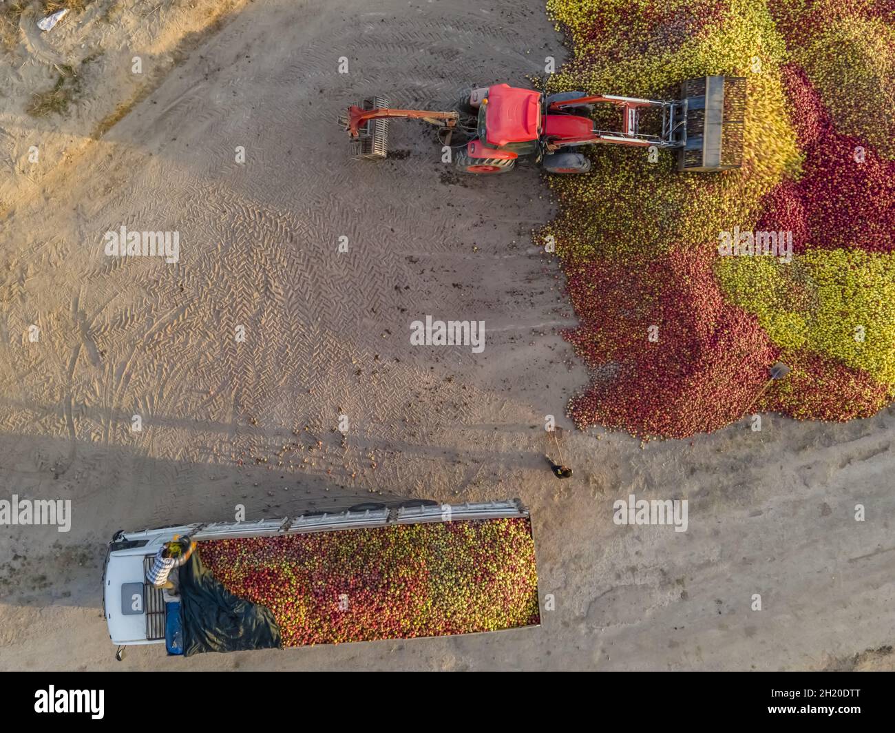 Loading a lorry with crates hi-res stock photography and images - Alamy