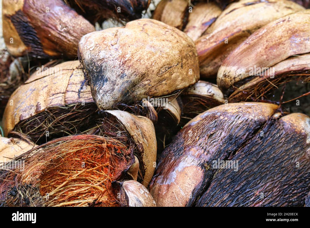 Coconut husks agricultural waste Stock Photo - Alamy