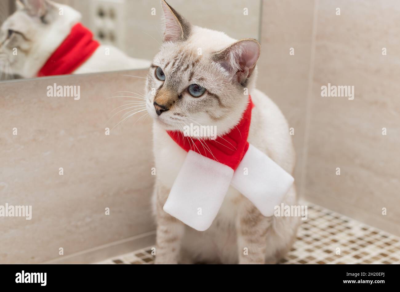Bathing costume hi-res stock photography and images - Alamy