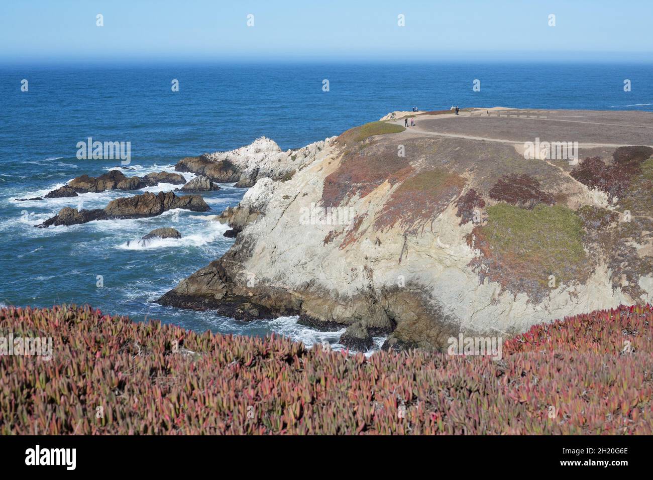 People hiking along a cliffside trail at Bodega Head in California ...