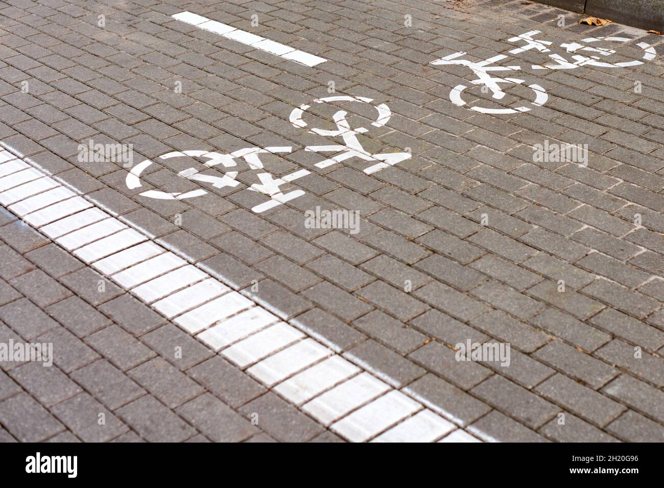 Two way cycle path, marking bike path on sidewalk, white painted ...
