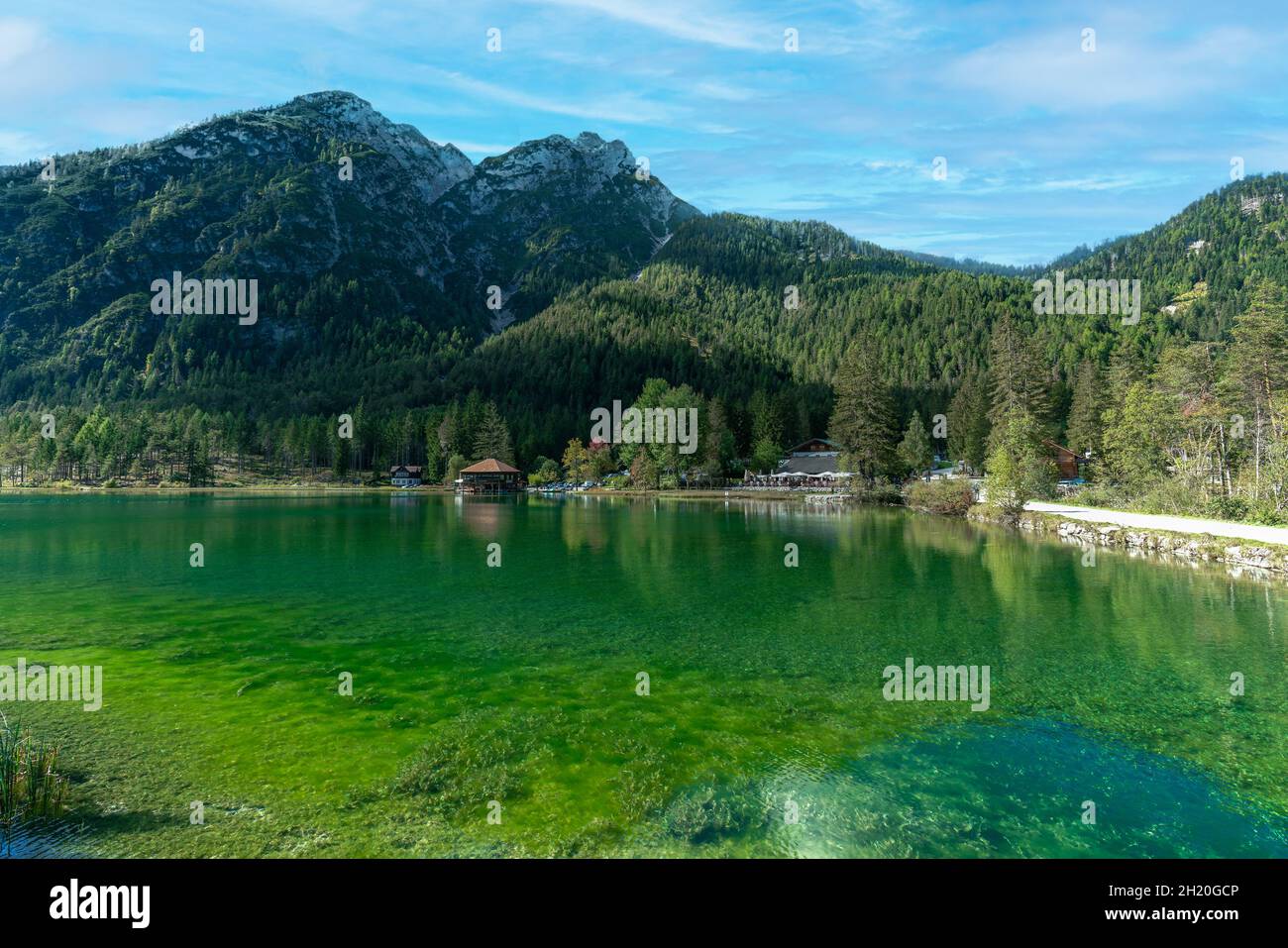 The green waters of mountain Lake Dobbiaco in the italian dolomite alps ...