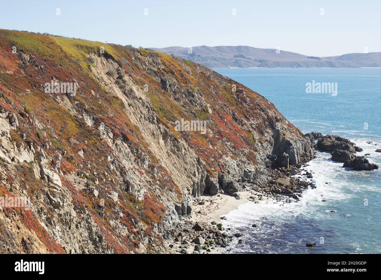 Plant growing in the cliff hi-res stock photography and images - Alamy