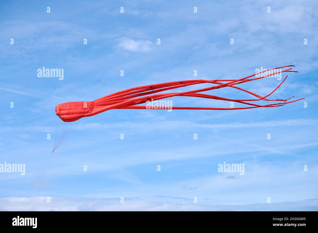 Large red pink kite octopus flying against background of beautiful ...