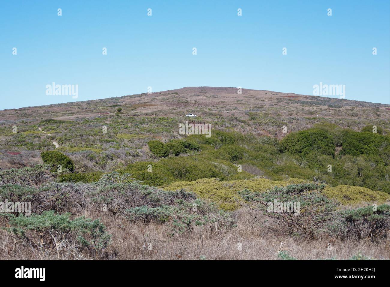 A white pickup driving along the road to Bodega Head appears tiny in ...