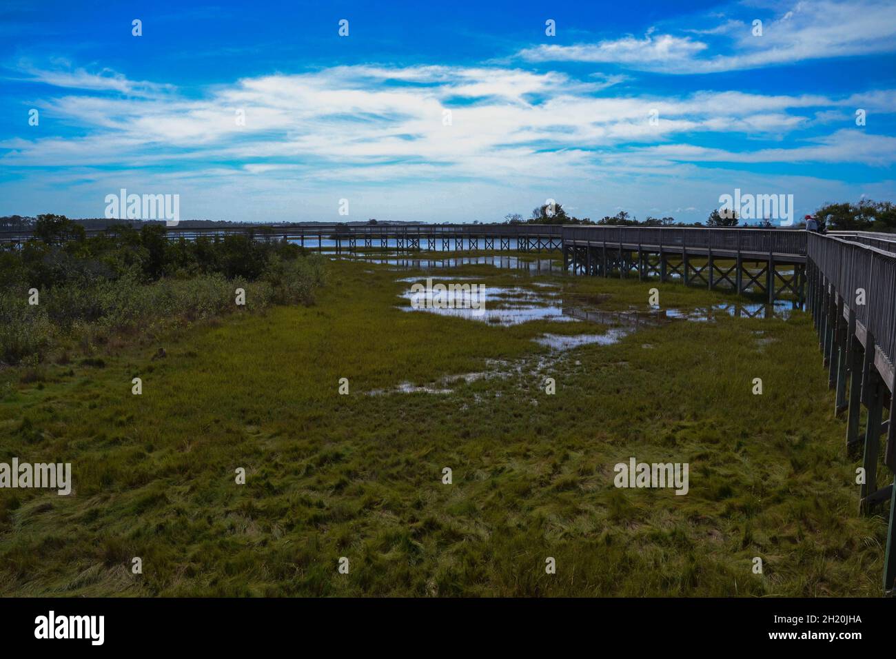 The Life of the Marsh Trail, an elevated wooden boardwalk looping ...