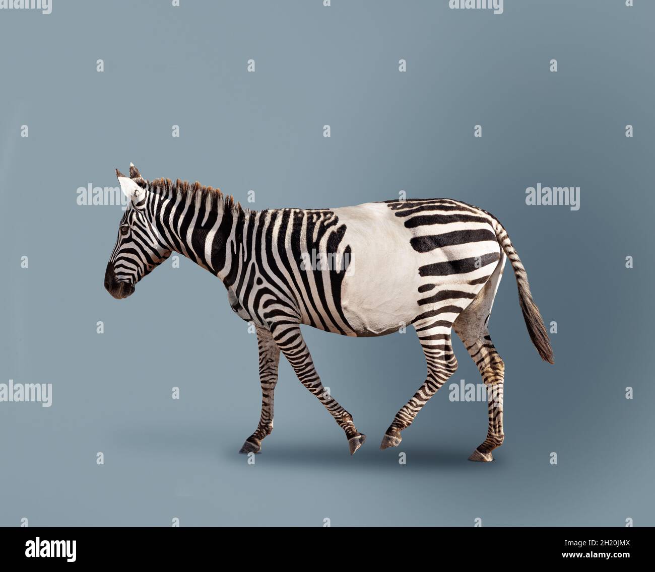 Climate stripes hi-res stock photography and images - Alamy