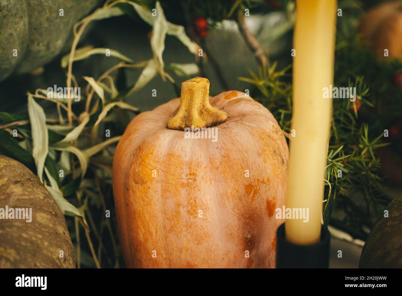 Rustic autumn decor arrangement with pumpkins close up Stock Photo - Alamy
