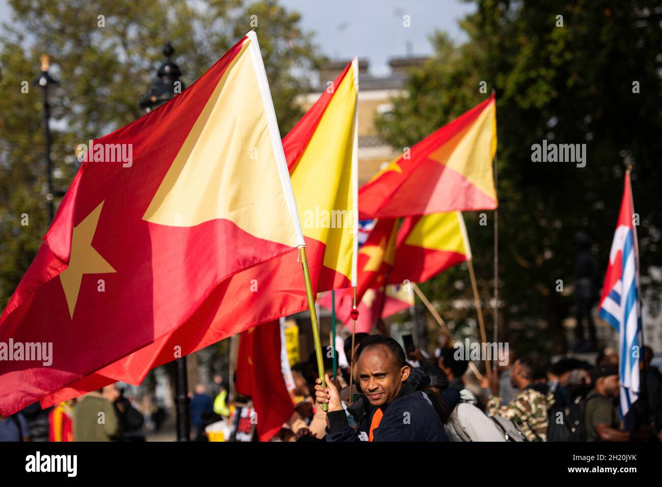 Protesters hold flags of Tigray during the Tigray Genocide Protest near ...
