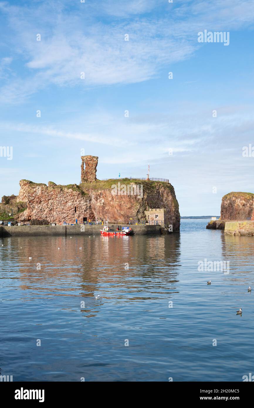 Victoria Harbour and Dunbar Castle, Dunbar, East Lothian, Scotland, UK ...