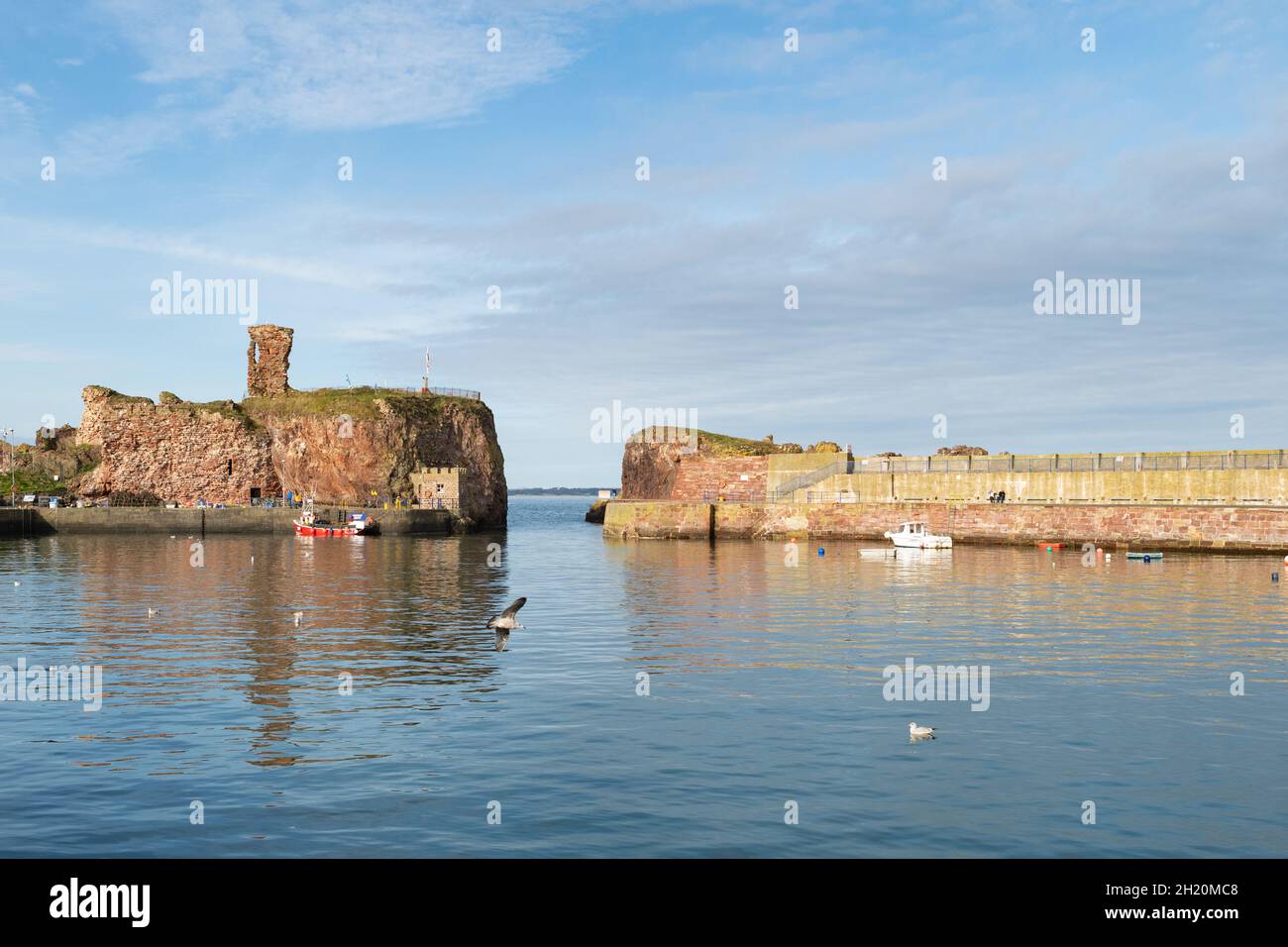 Victoria Harbour and Dunbar Castle, Dunbar, East Lothian, Scotland, UK ...