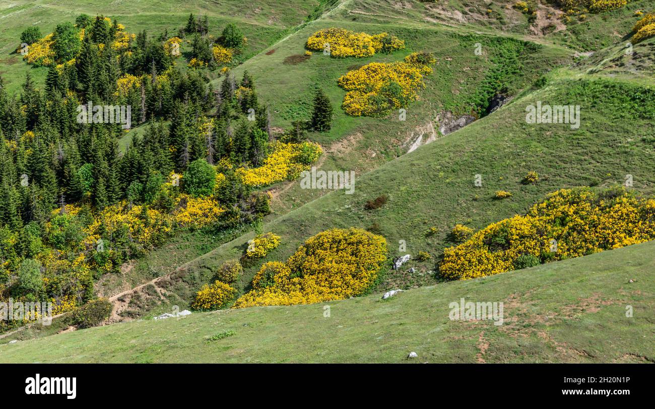 Mountain villages in Turkey's Artvin province attract attention with ...