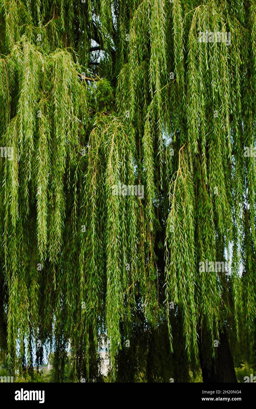 The Wade lagoon, Cleveland, Ohio Stock Photo - Alamy