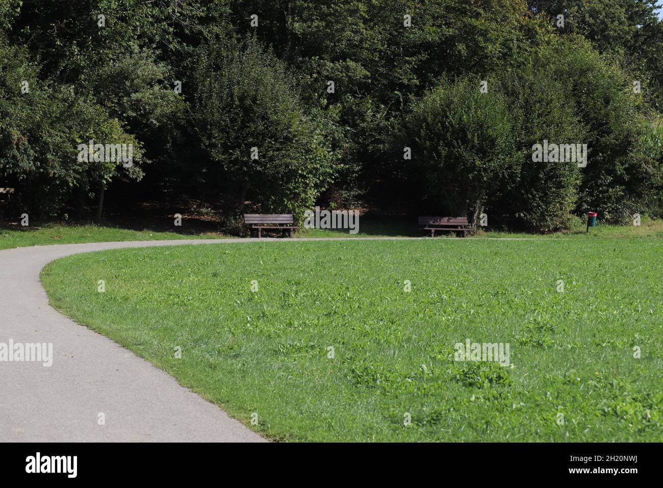 Empty pathway in the park with benches Stock Photo - Alamy