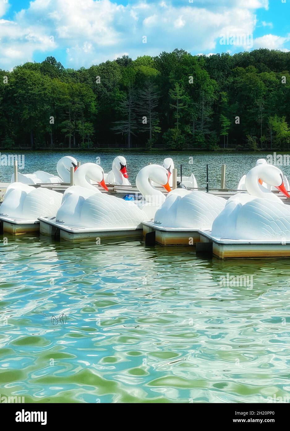 Swan boats hi-res stock photography and images - Alamy