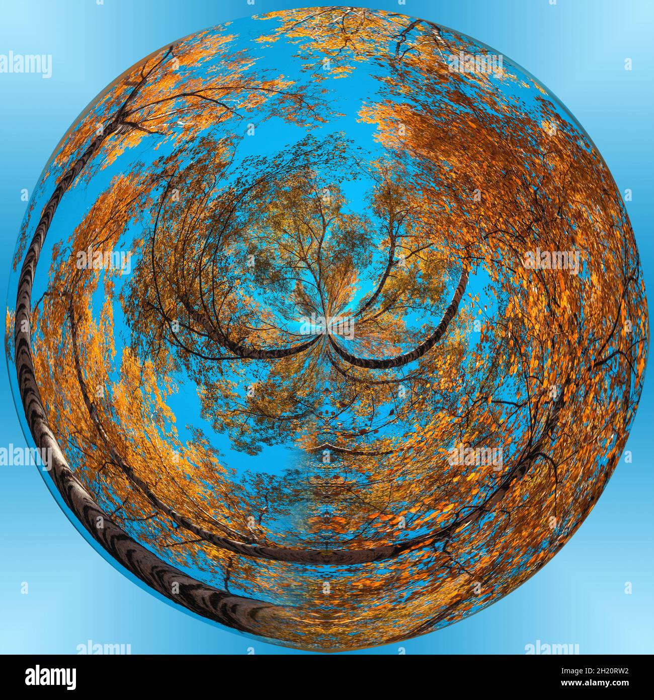 360-degree circular panorama. A small planet in autumn. Golden autumn ...