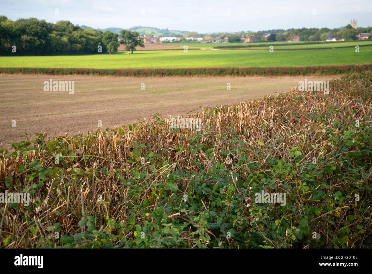 Arable farm landscape hi-res stock photography and images - Alamy