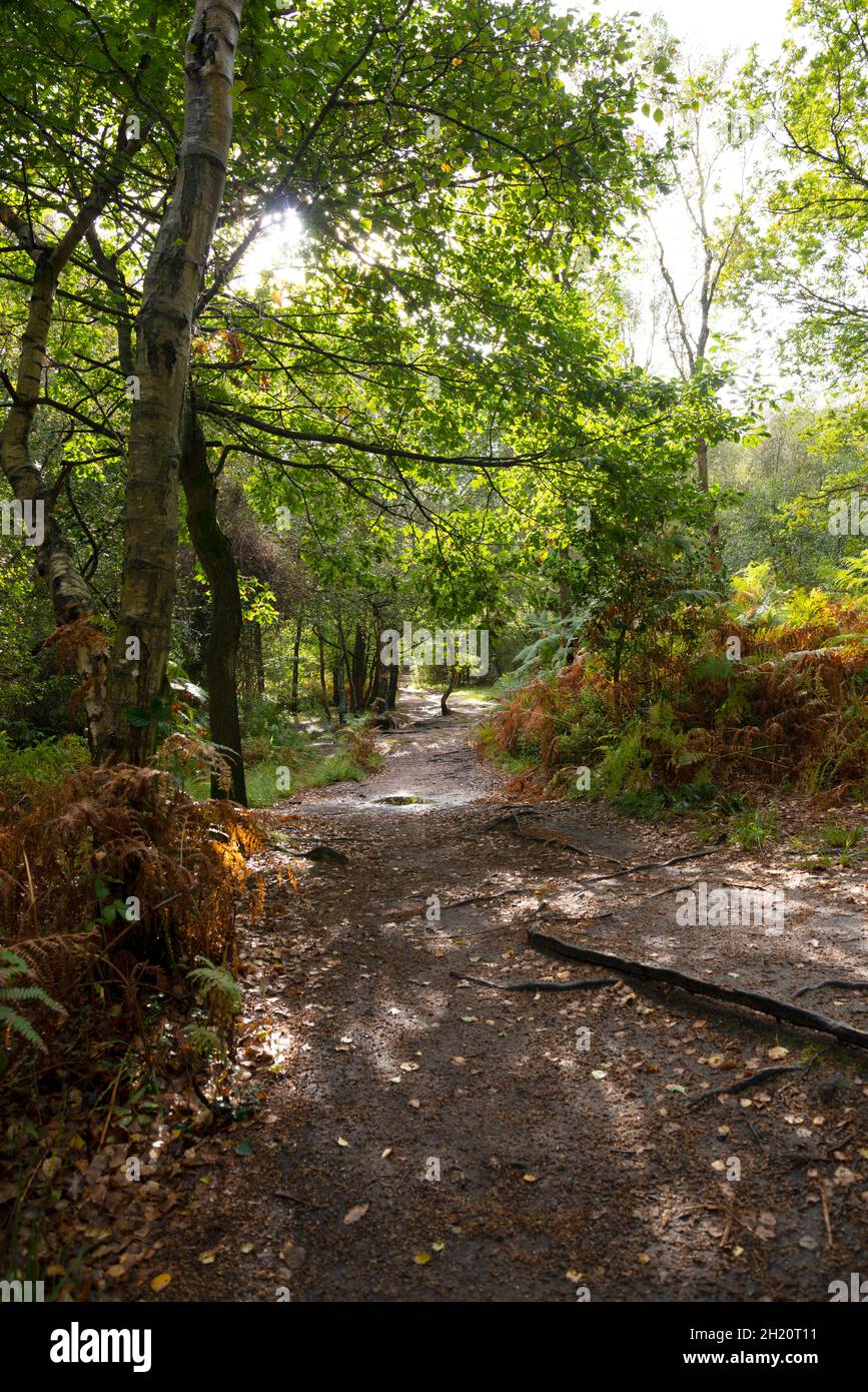 Norman wells hi-res stock photography and images - Alamy
