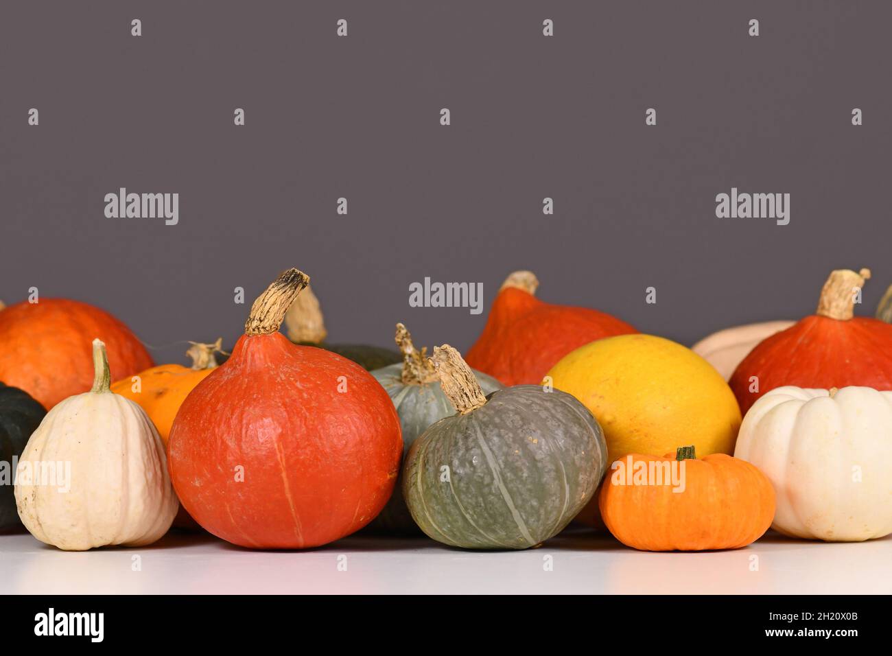 Different types of pumpkins hi-res stock photography and images - Alamy