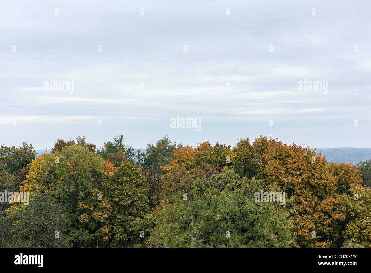 Autumn trees and cloudy sky. Minimalistic landscape Stock Photo - Alamy
