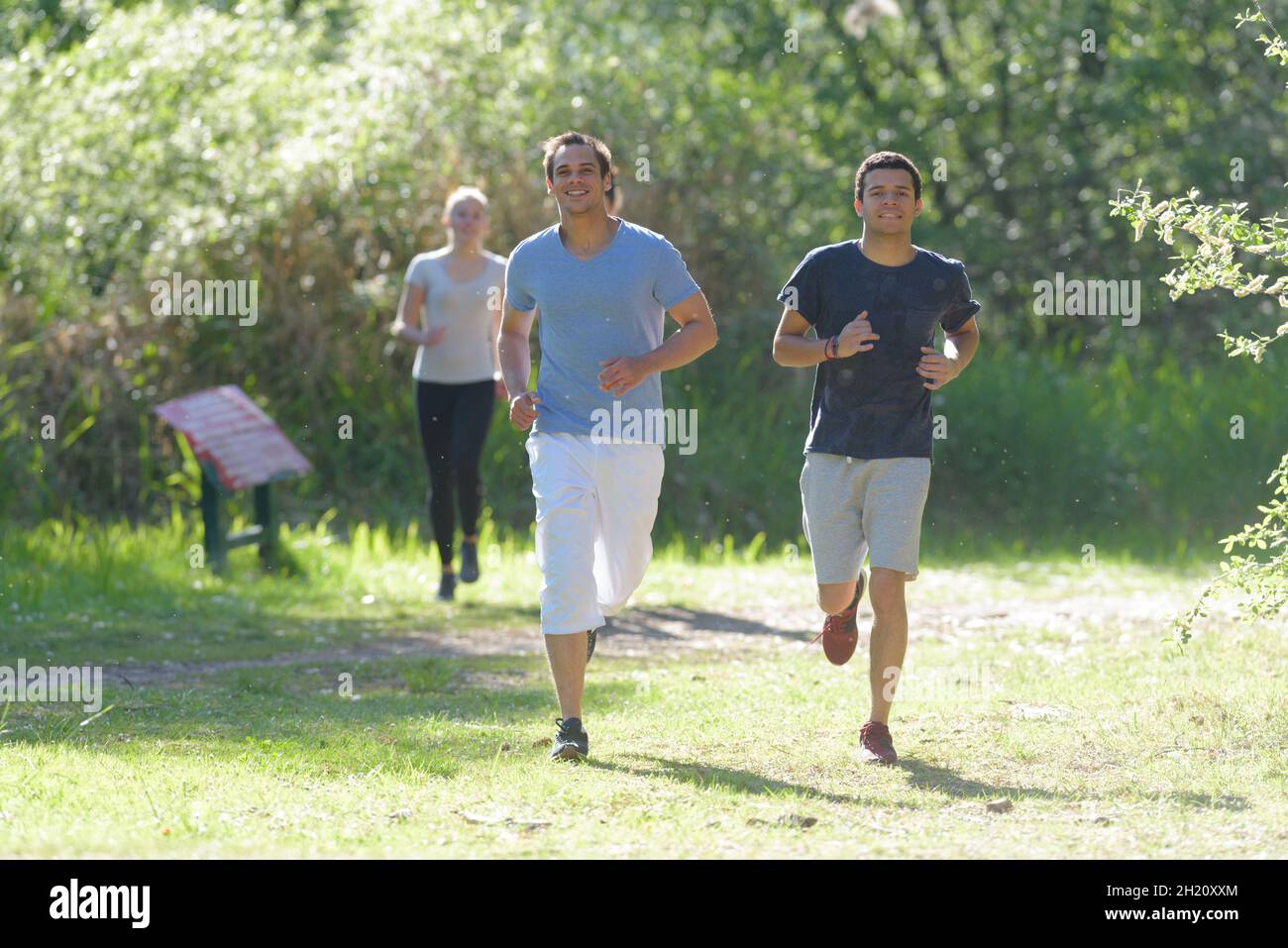 group of people exercising jogging through park together Stock Photo ...