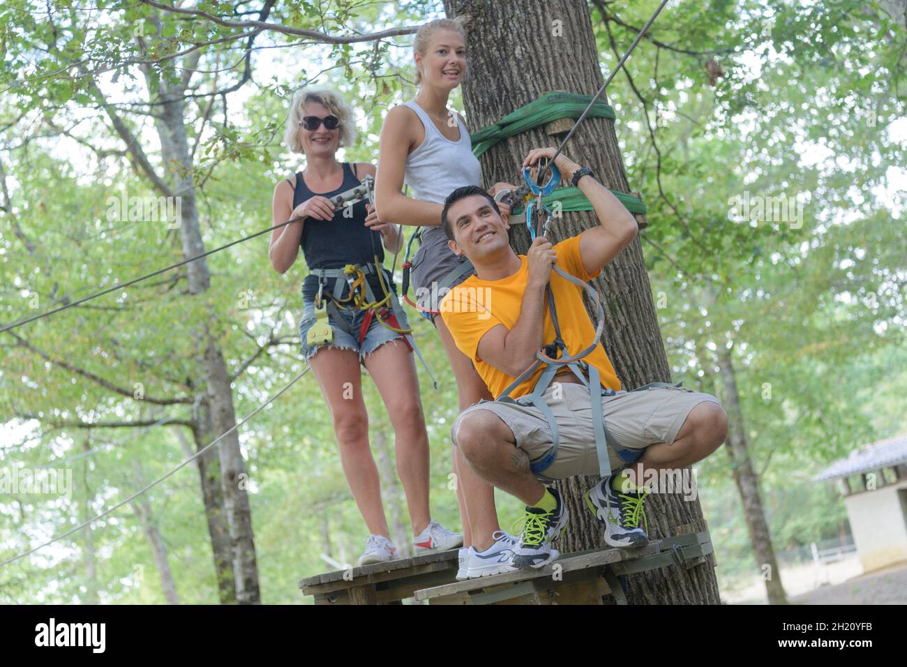 three adults on ledge of tree during adventure course Stock Photo - Alamy
