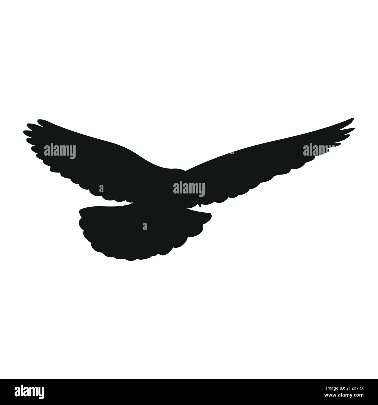 Soaring Bird Clipart Flying