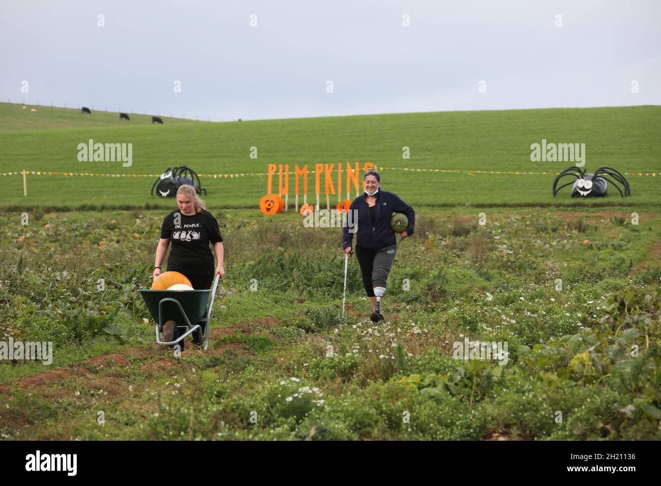 Dowhill Farm, nr Girvan, Ayrshire, Scotland. A mother and daughter ...