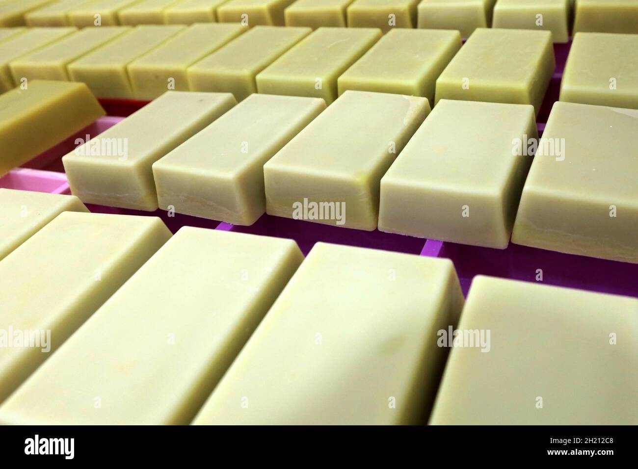 Madaba. 13th Oct, 2021. Photo taken on Oct. 13, 2021 shows donkey milk ...