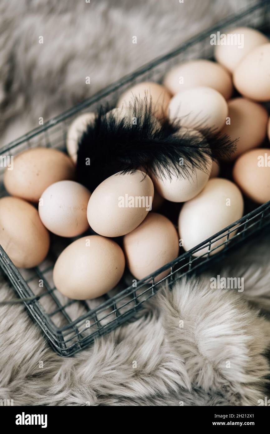 Wire mesh basket hi-res stock photography and images - Alamy