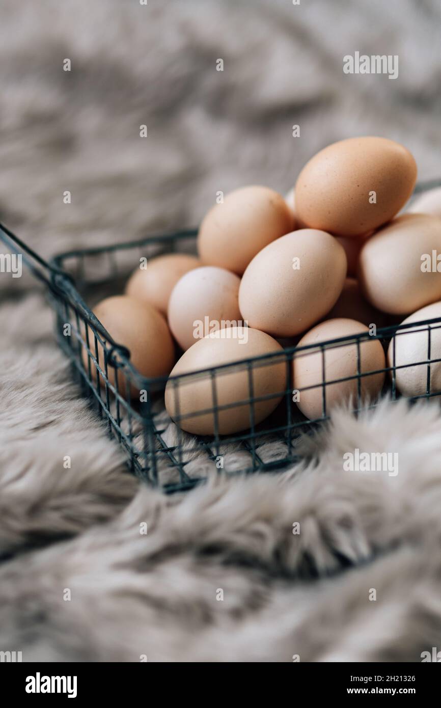 Wire mesh basket hi-res stock photography and images - Alamy