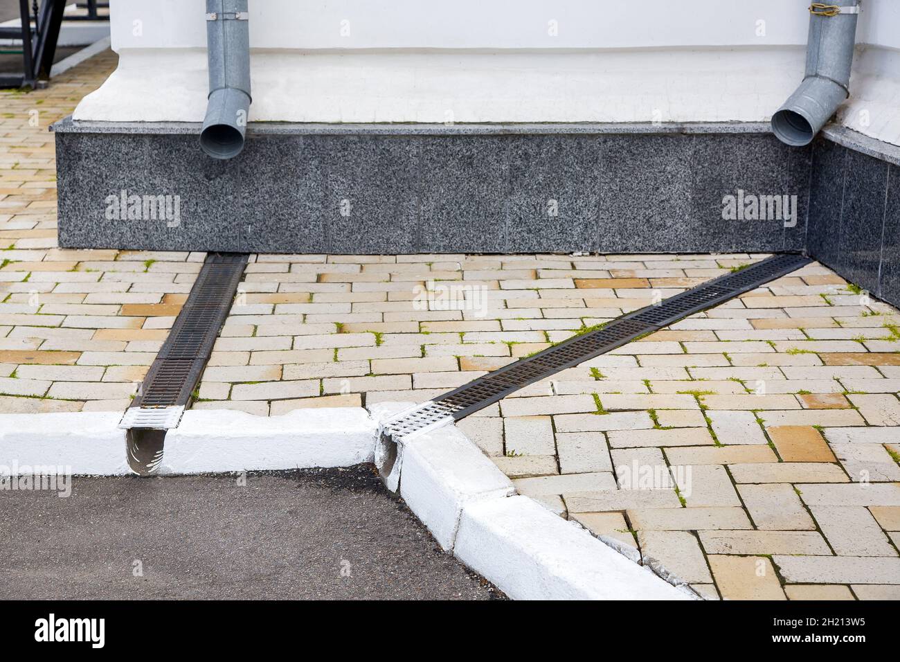 Downspout Sidewalk Design We Salvaged Those Beautiful Creeping