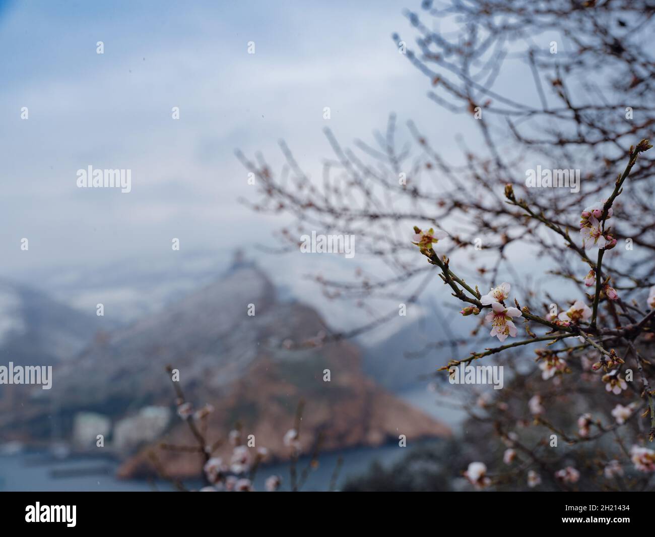 ancient castle ruins on a beautiful rock rise above the sea. winter ...