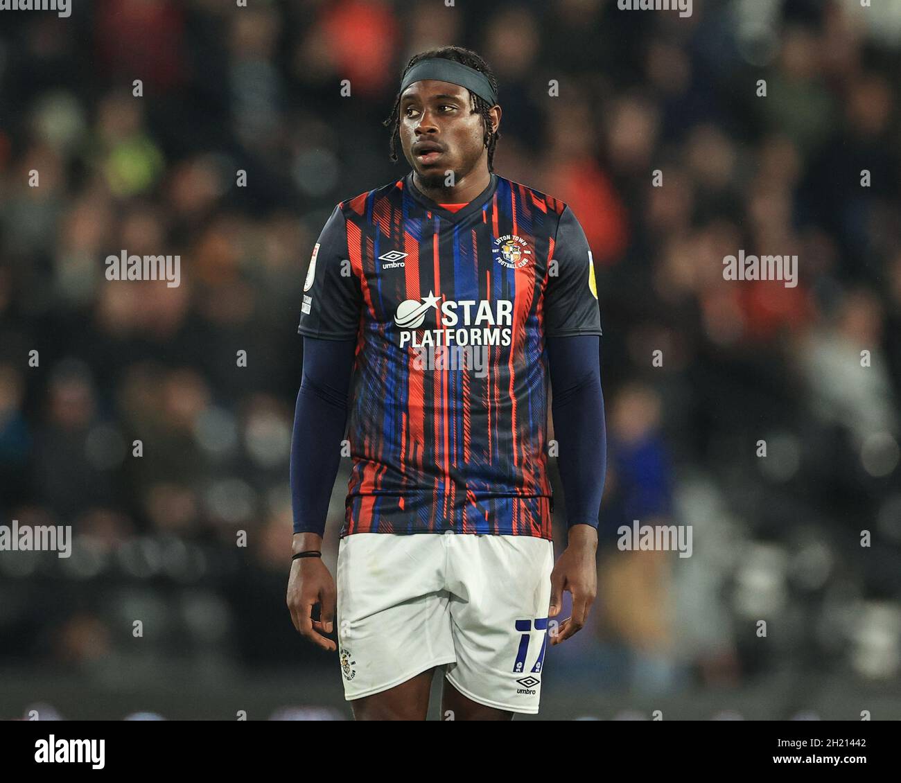 Pelly ruddock hi-res stock photography and images - Alamy