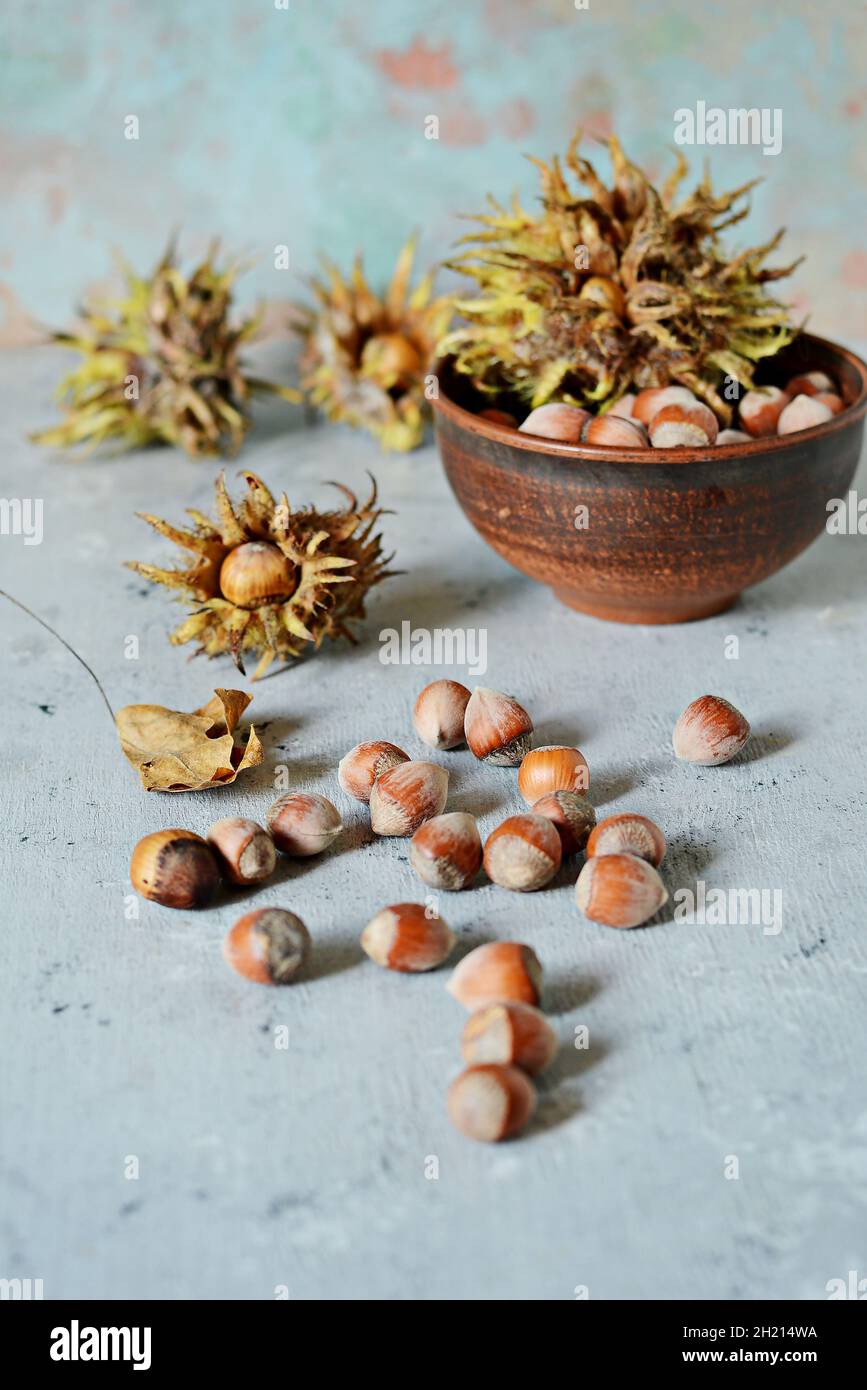 Hazelnut in shell hi-res stock photography and images - Alamy