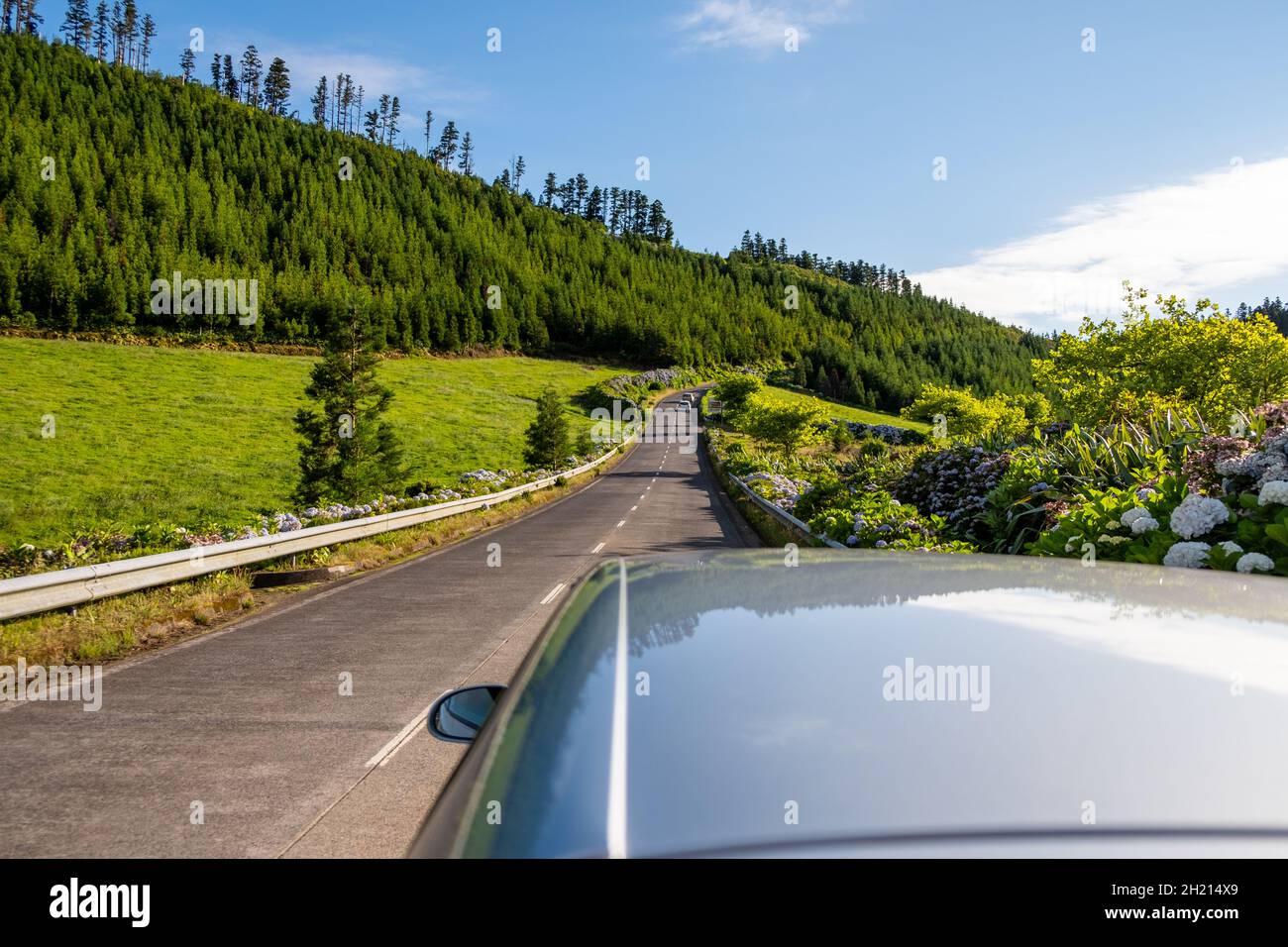 Traditional road viewed from the roof top of the car with the green ...