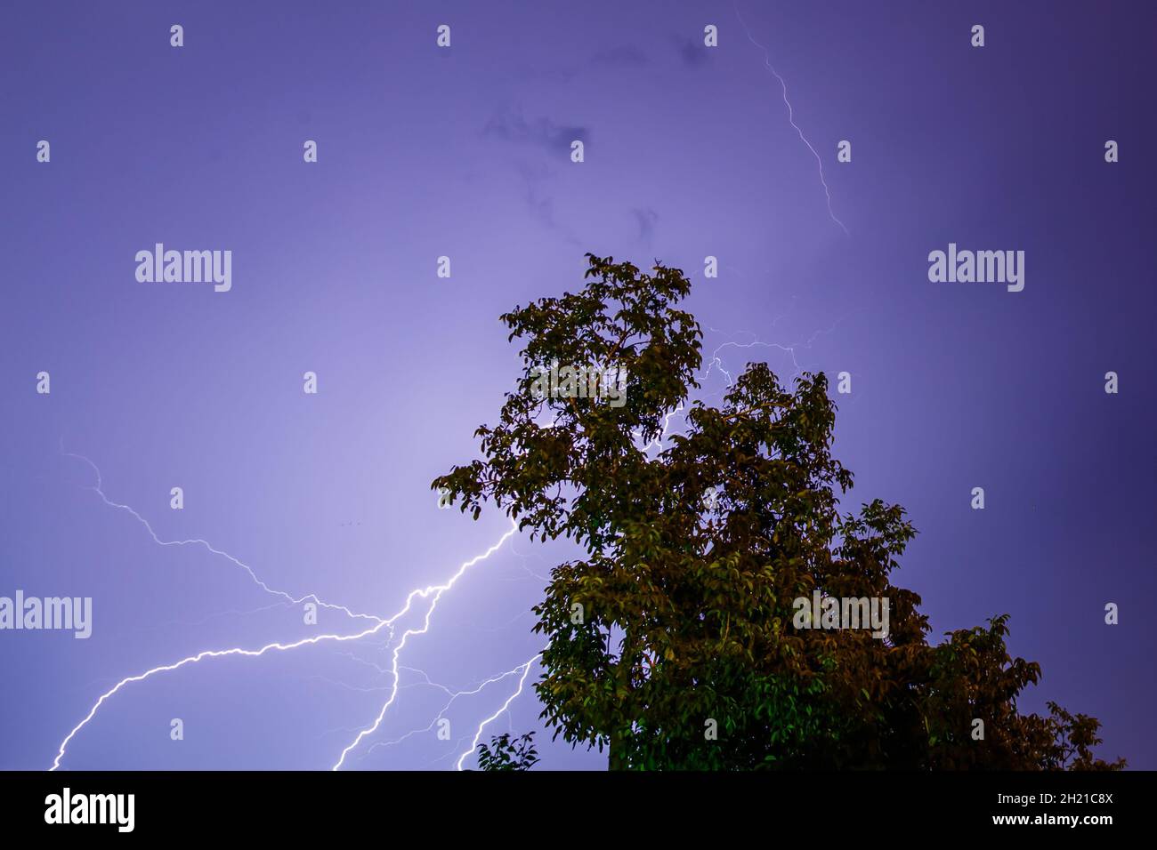 Garden storm lightning hi-res stock photography and images - Alamy