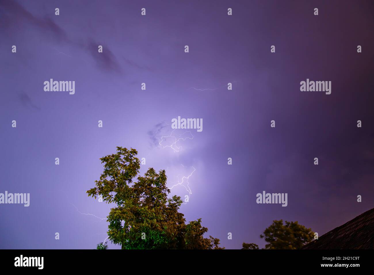 Autumn tree under the lightning sky Stock Photo - Alamy