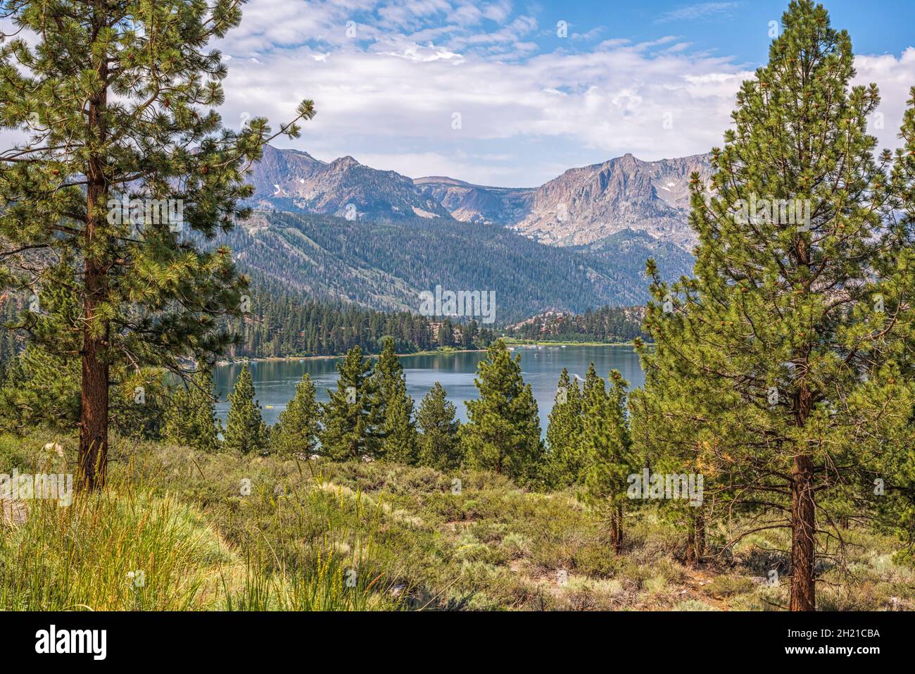 June summer landscapes hi-res stock photography and images - Alamy