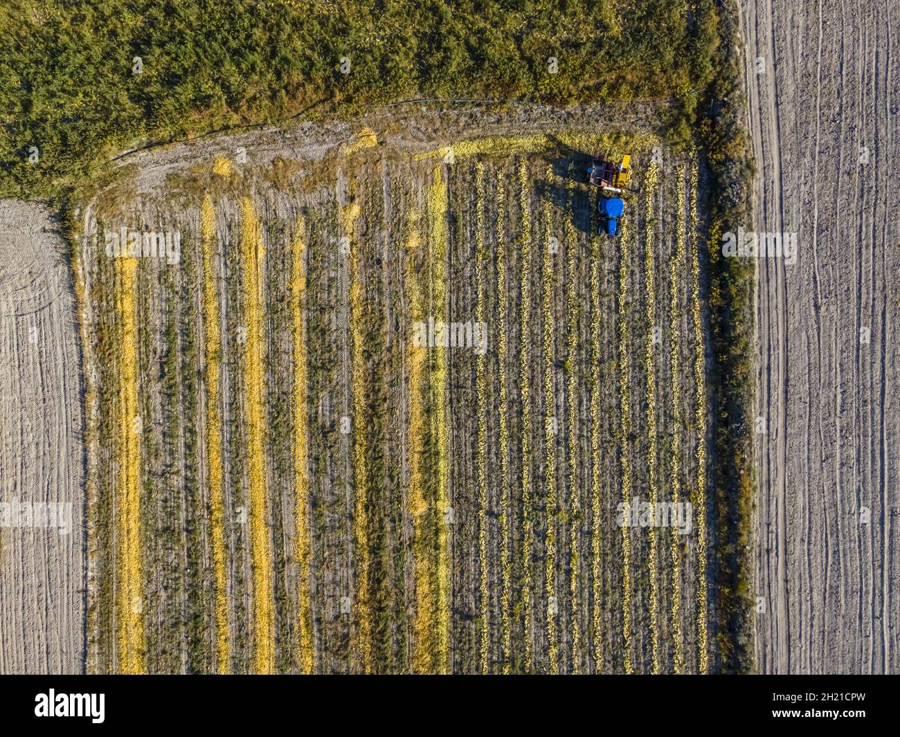 Field viewed from above Stock Photo - Alamy
