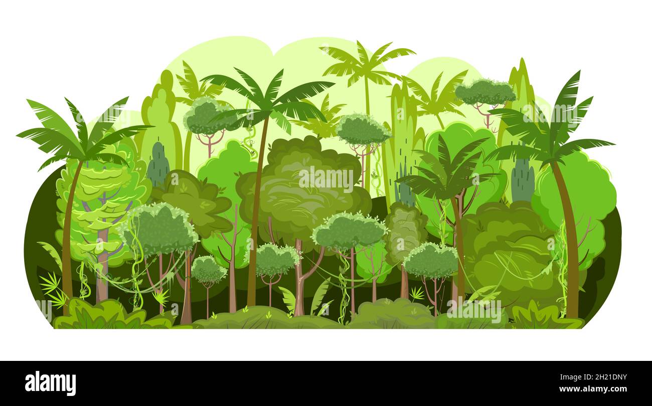 Impassable thick Jungle. Background image. Plants rainforest. Beautiful ...