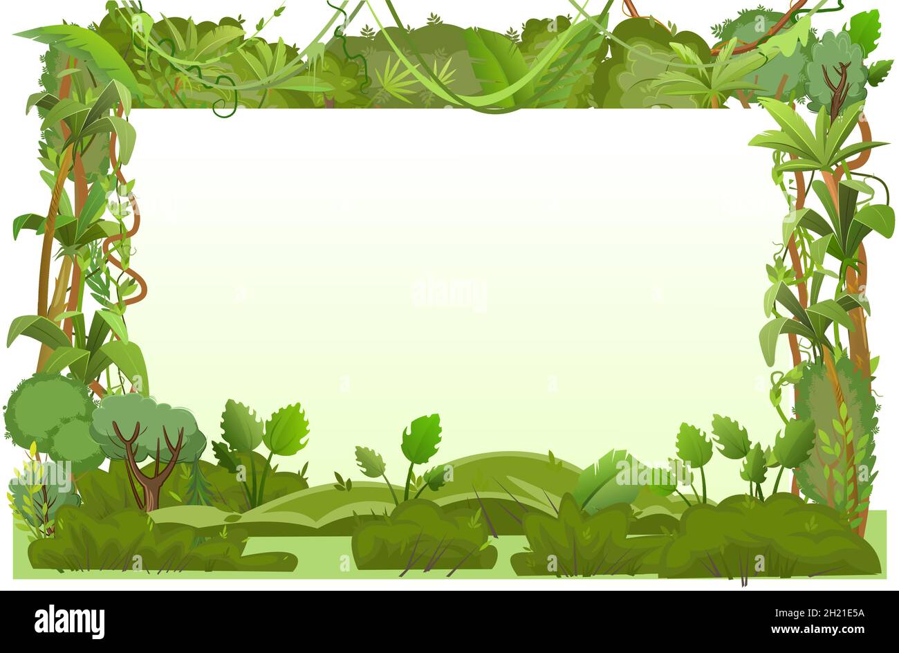Jungle Border Png
