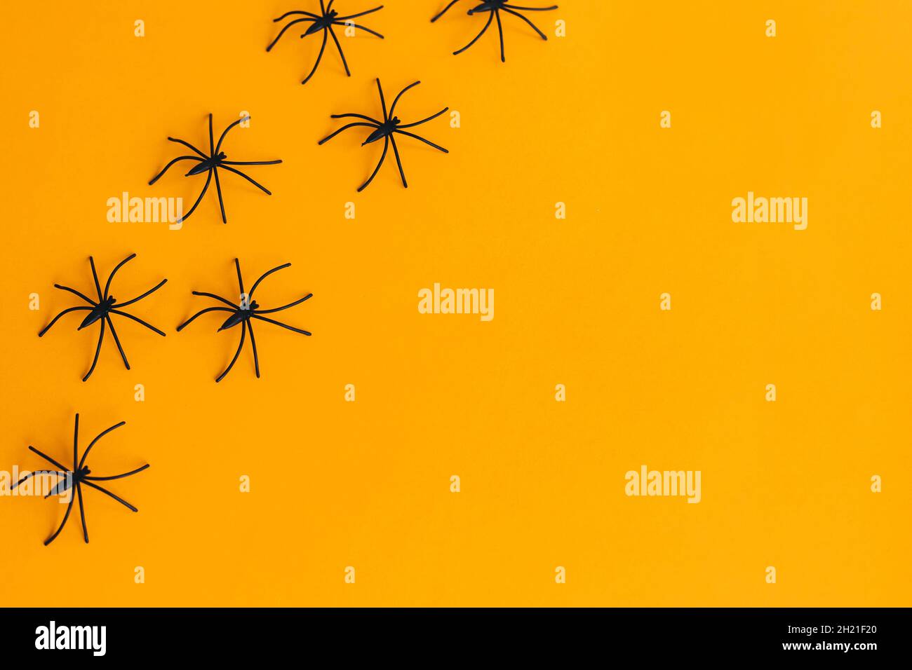 Halloween flat lay. Spiders layout on orange background with space for ...