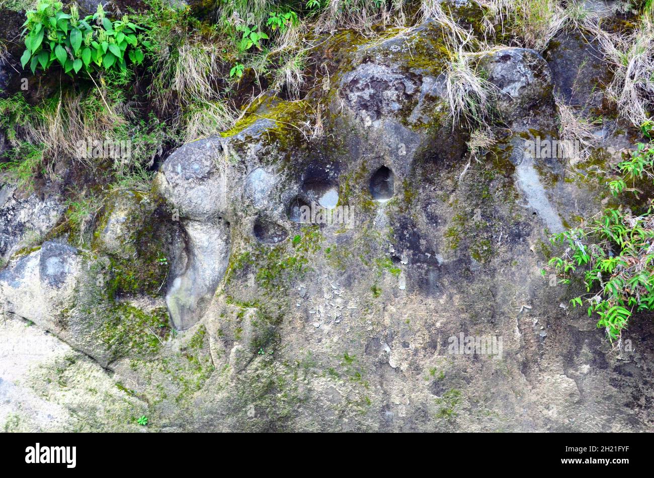 Design on Wall Besides River Beas Nadaun India Stock Photo - Alamy