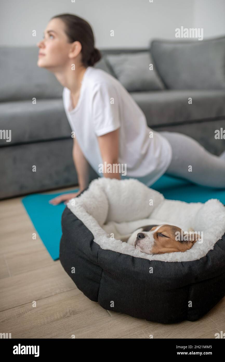 At home workout with pet hi-res stock photography and images - Alamy