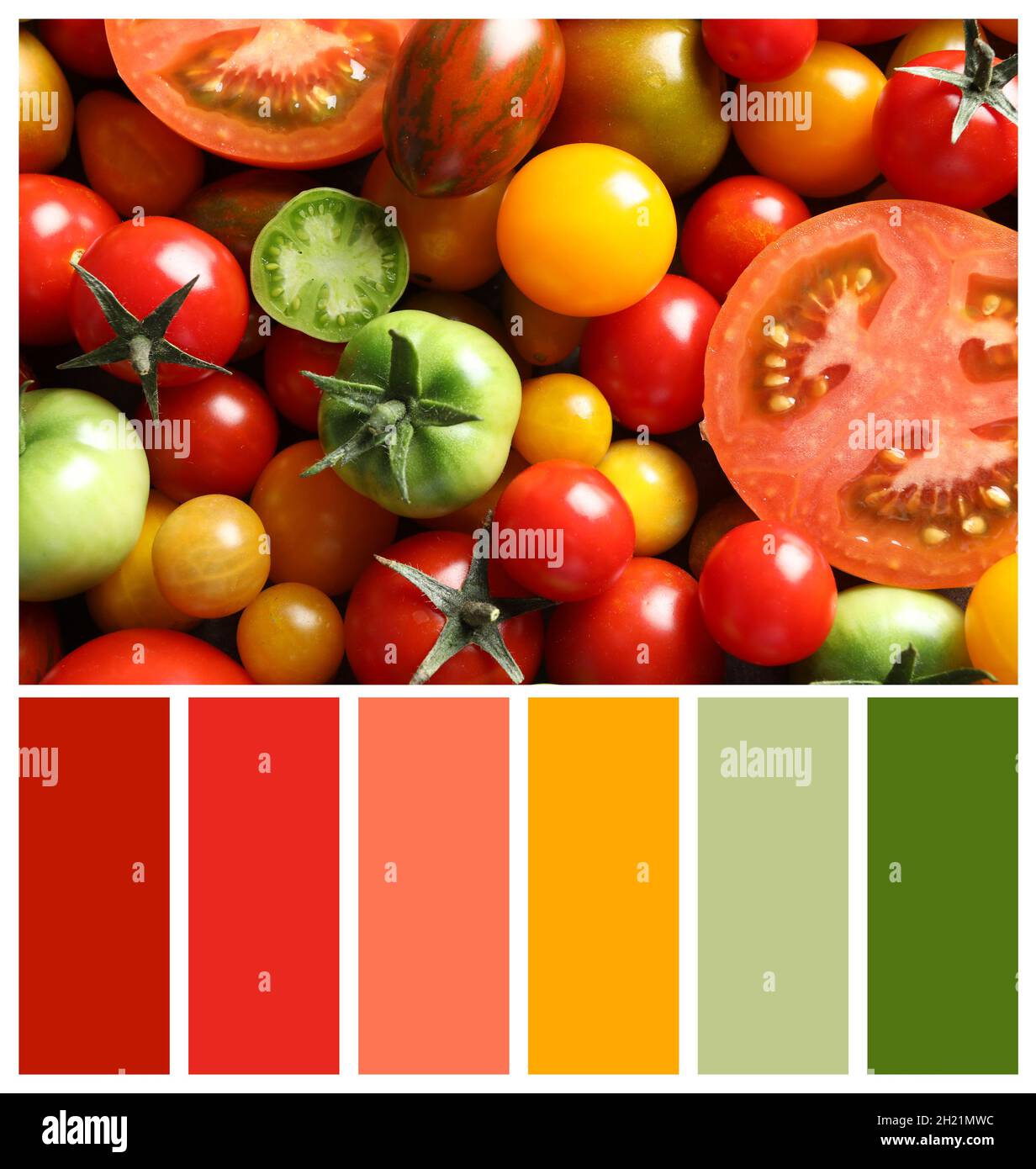 Top view of juicy tomatoes as background. Natural color palette for ...