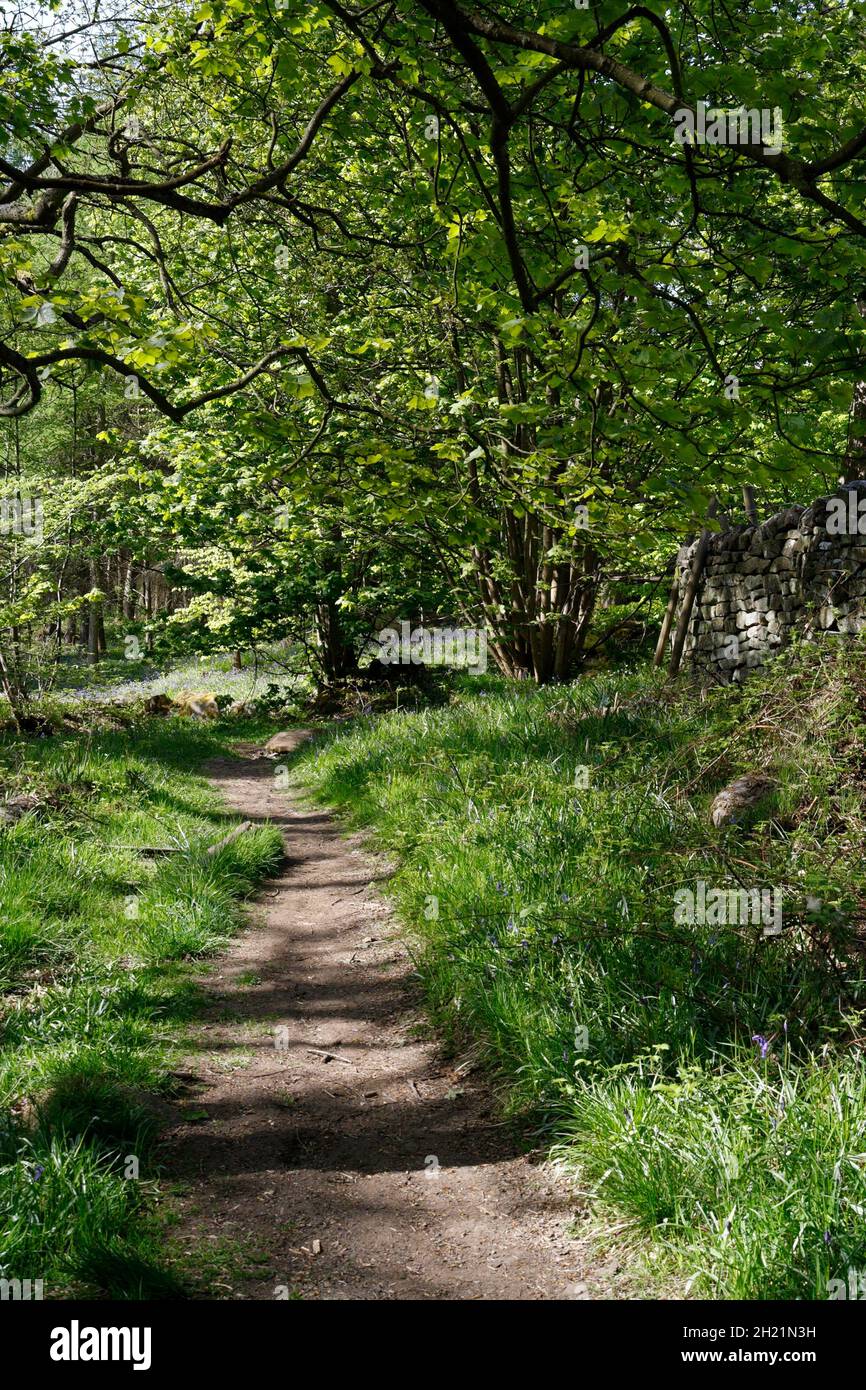 Derwent valley heritage trail hi-res stock photography and images - Alamy