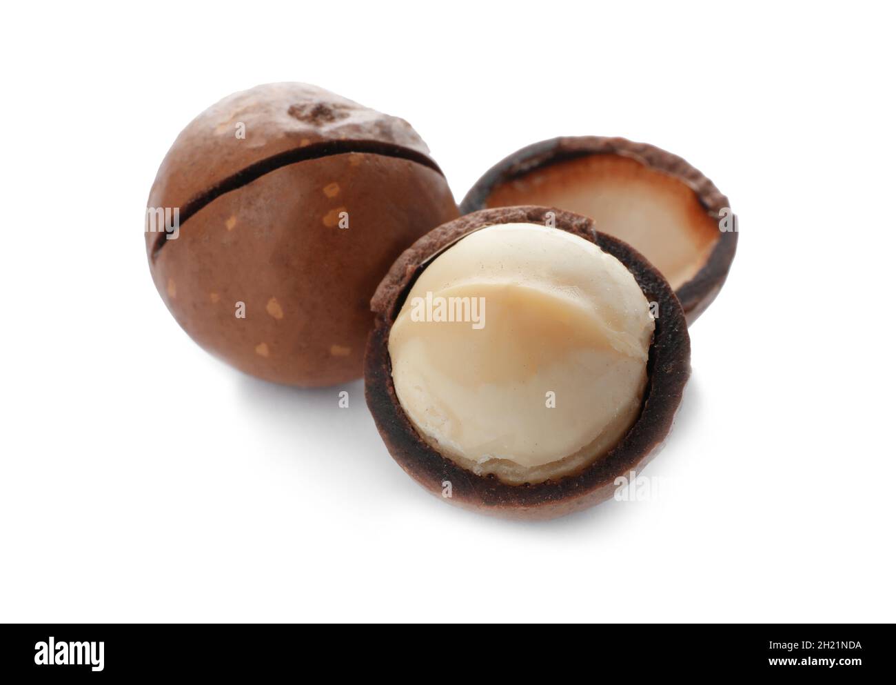 Two organic Macadamia nuts on white background Stock Photo - Alamy